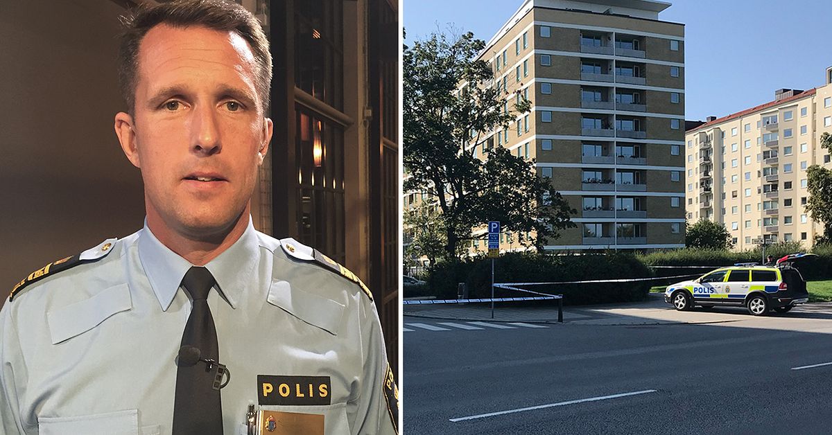 Man Anhållen Efter Mordet På Ribersborg I Malmö Svt Nyheter