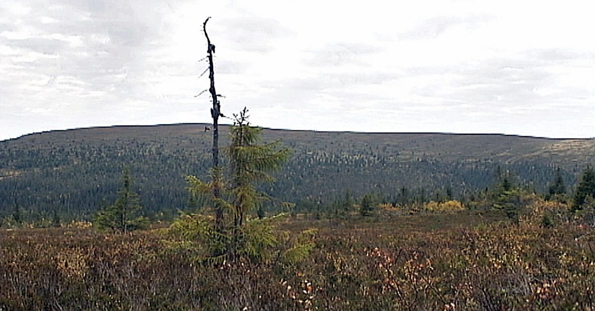 Brunnar sinar i fjällen | SVT Nyheter