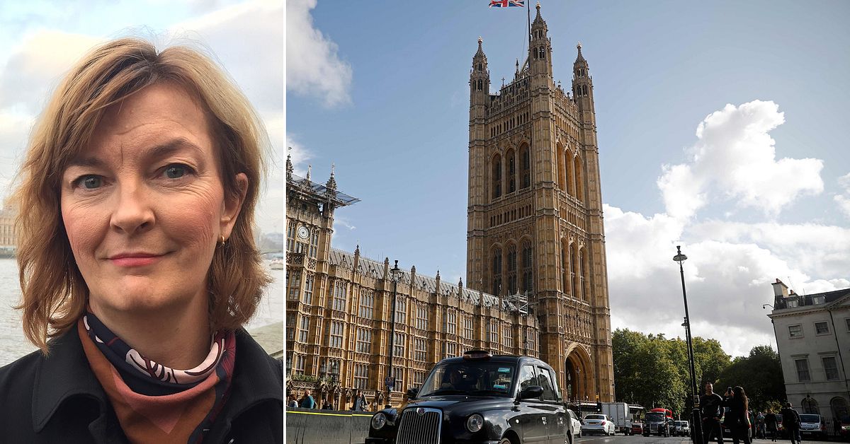 Efter domen – det händer nu i brittiska parlamentet | SVT Nyheter