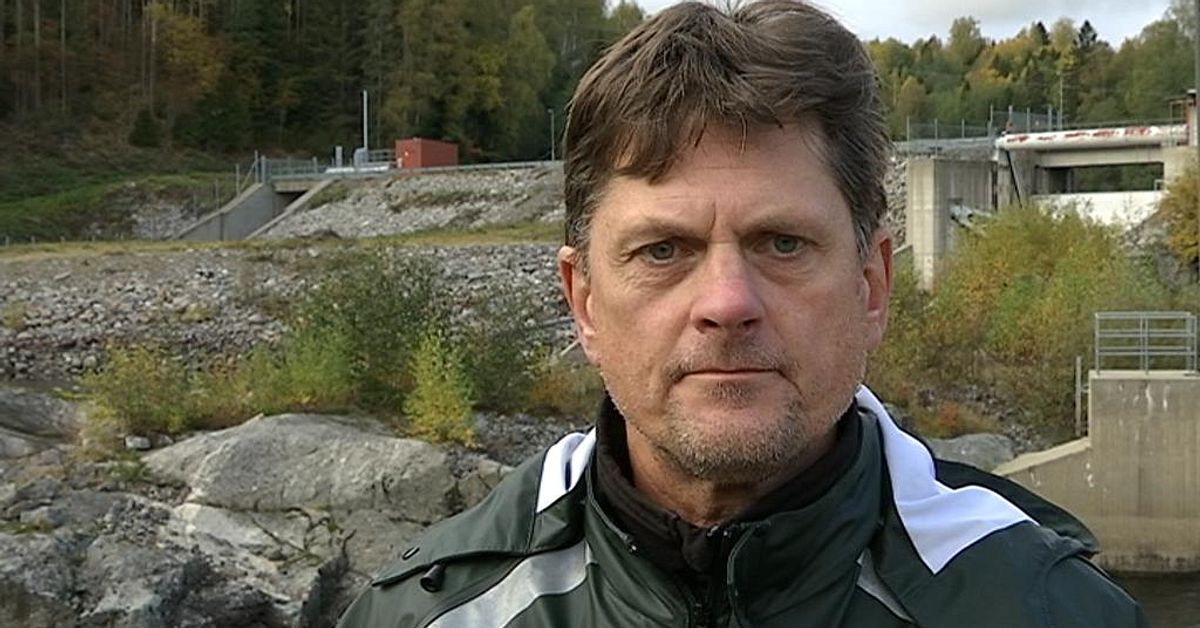 Fisken i Ljungan kan ha drabbats av bakterier | SVT Nyheter