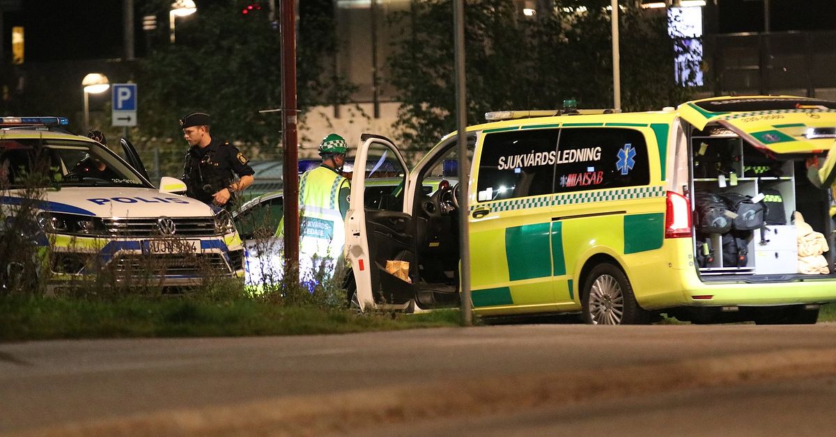 Kvinna dog efter fall från bro – kunde aldrig förhöras | SVT Nyheter