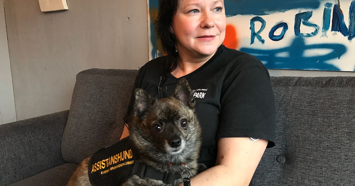 Rambo hjälper diabetessjuka Veronica i vardagen | SVT Nyheter