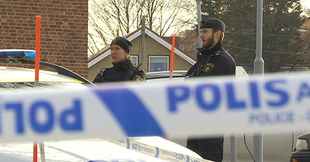 Ytterligare En Person Gripen För Mordet I Sundsvall Svt Nyheter