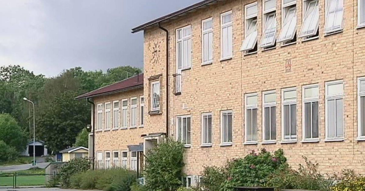 ”Skolan har inte den betydelsen” | SVT Nyheter