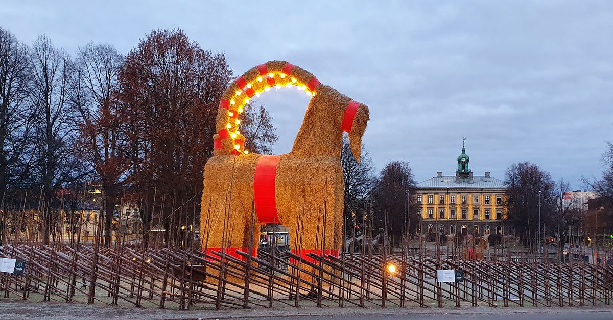 Gävlebocken invigs på traditionellt sätt | SVT Nyheter