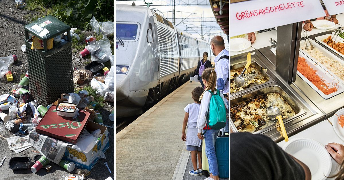Studie: Sociala normer får oss att agera mer miljövänligt | SVT Nyheter