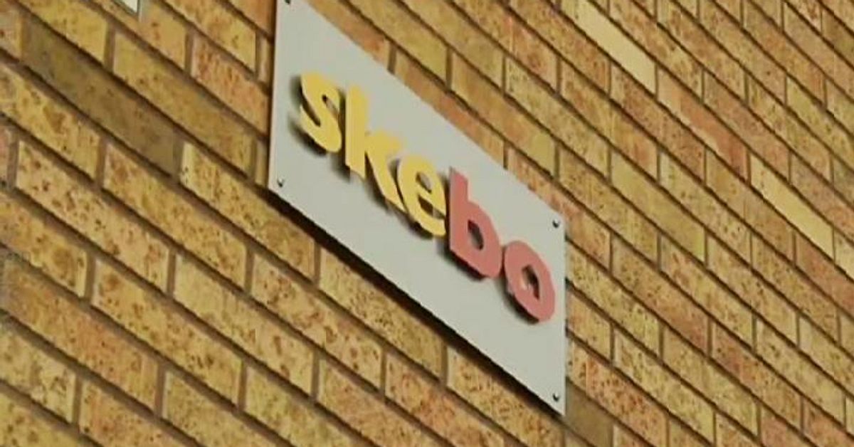 Skebo vill sälja stort bestånd | SVT Nyheter