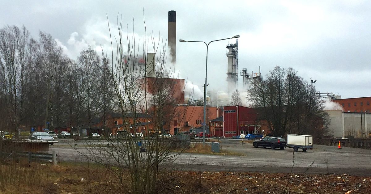 Kravet på Aspa bruk: ”Förebygg risker med spillvatten” | SVT Nyheter