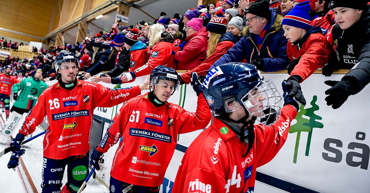 Bandy: Edsbyn blåst på 100 000 kronor | SVT Sport