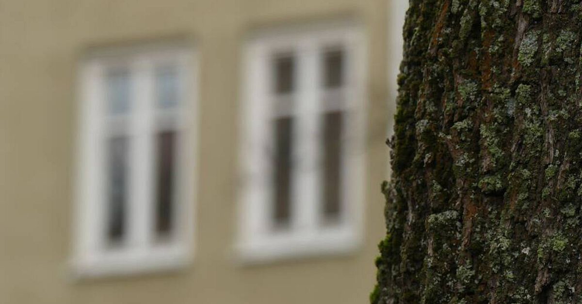 Pappa Som Misstänks För Treårings Död Har Avlidit I Häktet Svt Nyheter