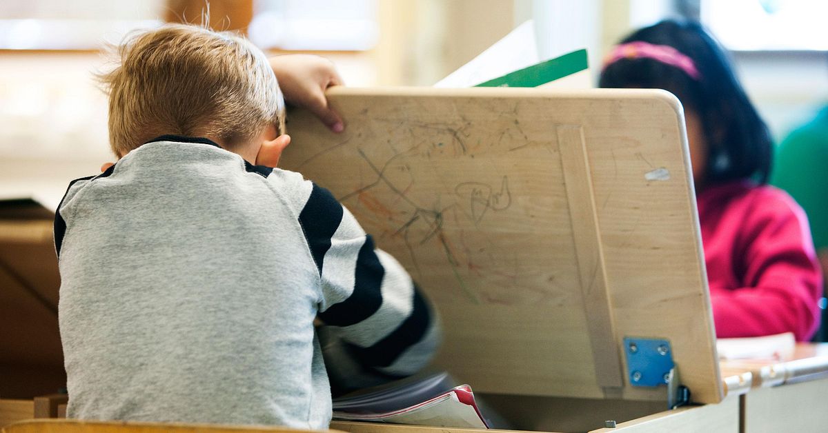 Många emot obligatorisk svenska | SVT Nyheter