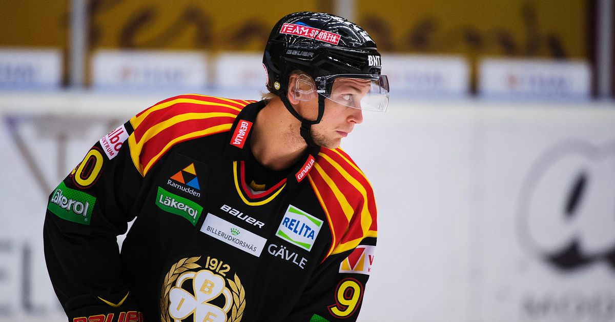 Sport: Klart: Harju tillbaka i Luleå | SVT Sport