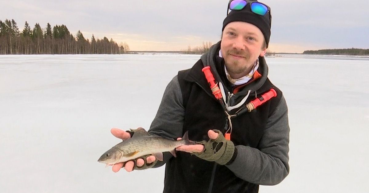 Fredrik har drömjobbet – fiskar världsunik fisk | SVT Nyheter