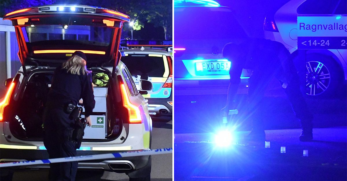 Sex Män Anhållna För Tre år Gammalt Mord I Helsingborg Svt Nyheter