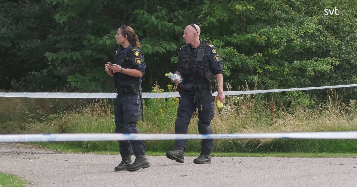 Man Som Misstänks För Knivdåd Mot 80 åring Släppt Ur Häktet Svt Nyheter