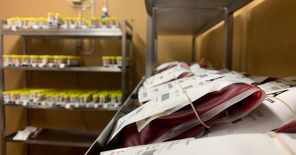 Fler blodgivare när skåningar semestrar hemma | SVT Nyheter