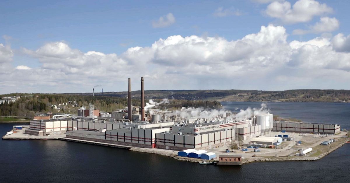 Kommunen vill locka nyetableringar till Ortviken | SVT Nyheter