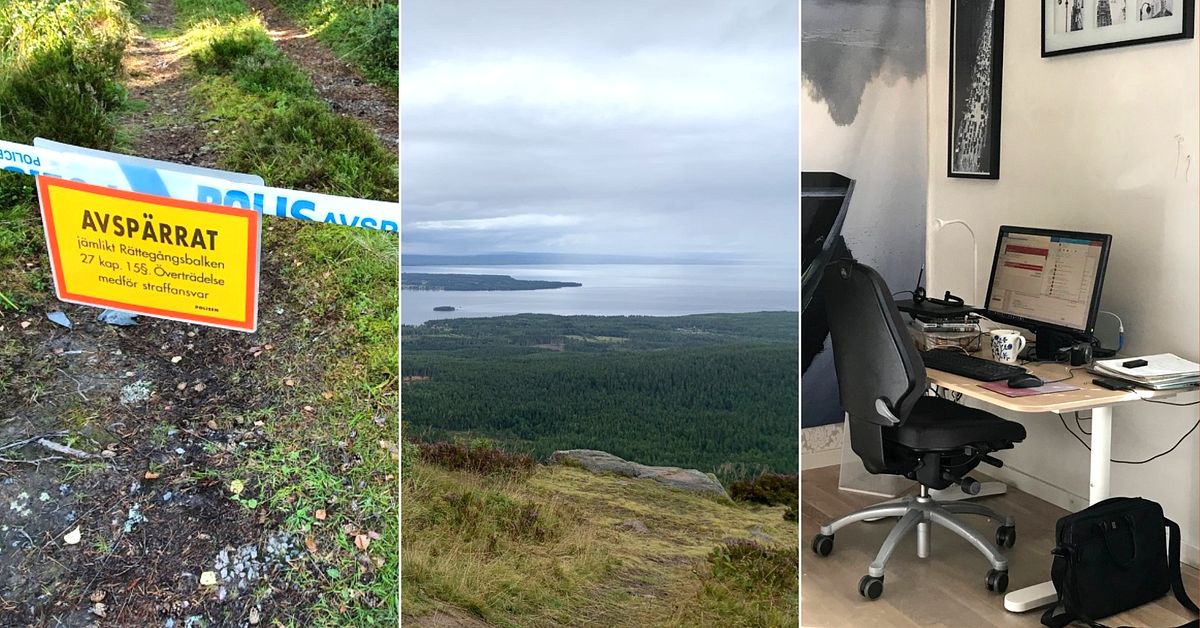 Nyheter från dagen: 1 september | SVT Nyheter