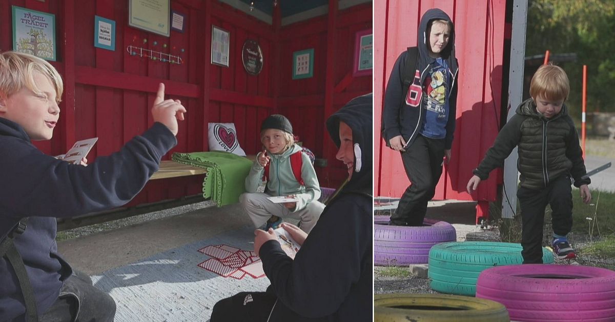 Här har barnens busskur discokula och brädspel | SVT Nyheter