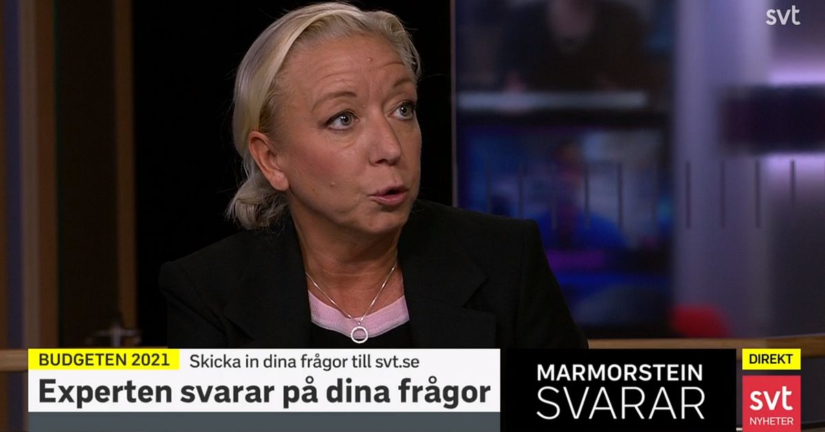 Chatta med SVT:s politikreporter Elisabeth Marmorstein | SVT Nyheter