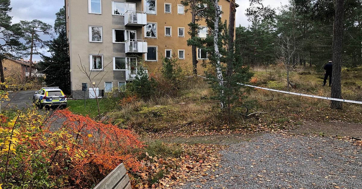Misstänkt Mord I Bagarmossen Kropp Har Hittats I Skog Svt Nyheter