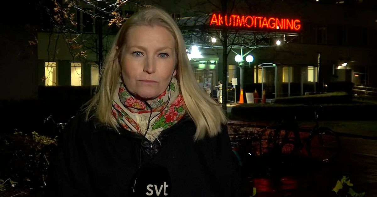 Hör Svt S Reporter Om Kritiken Mot ”palliativ Cocktail” Svt Nyheter