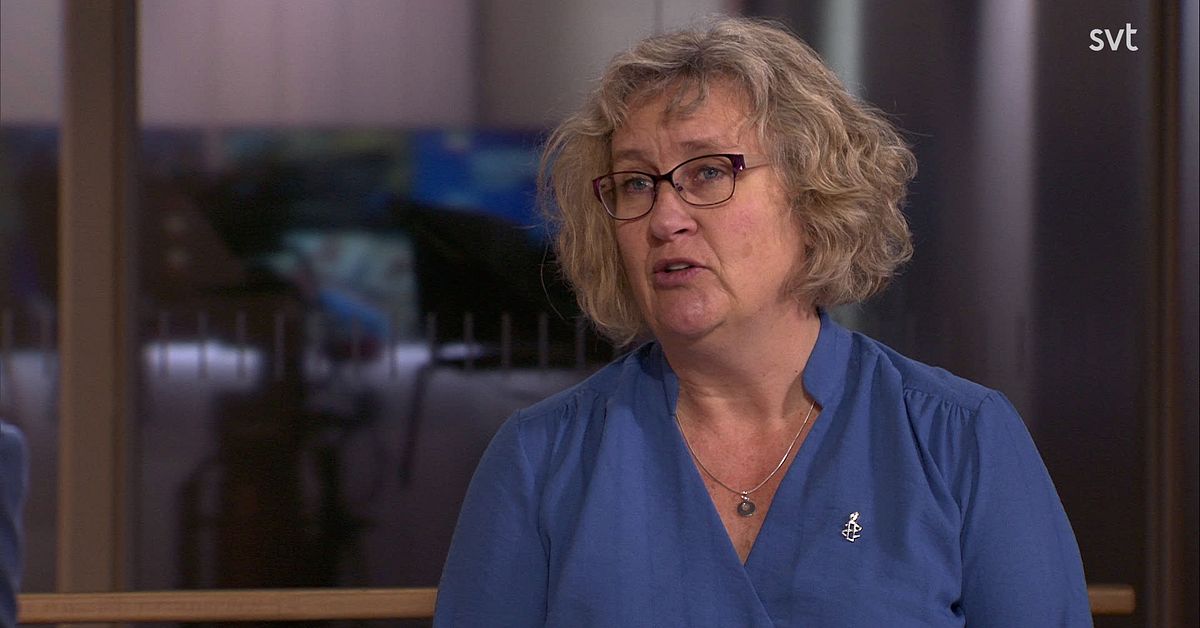 Svenska Amnestys generalsekreterare slutar med omedelbar verkan | SVT Nyheter