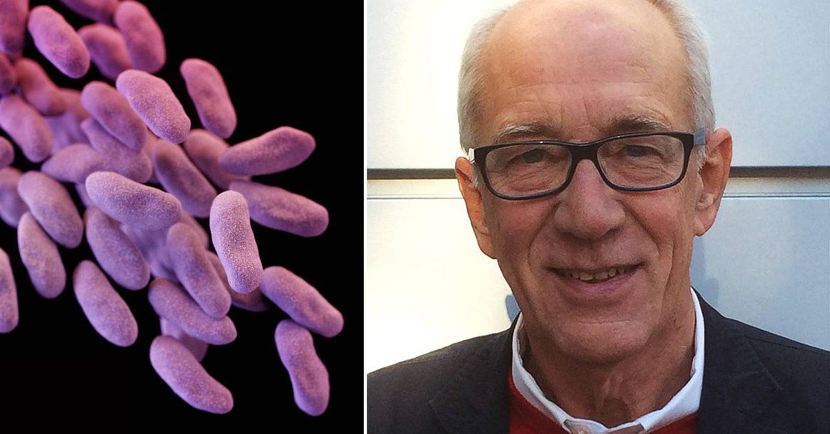 Experten Otto Cars chattade om multiresistenta bakterier | SVT Nyheter
