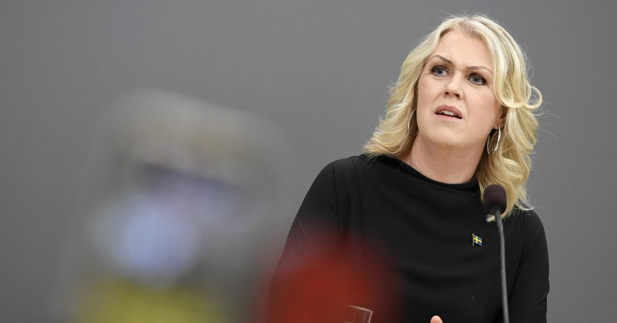 Hallengren om kritiken: ”Decennier av försummelse” | SVT Nyheter