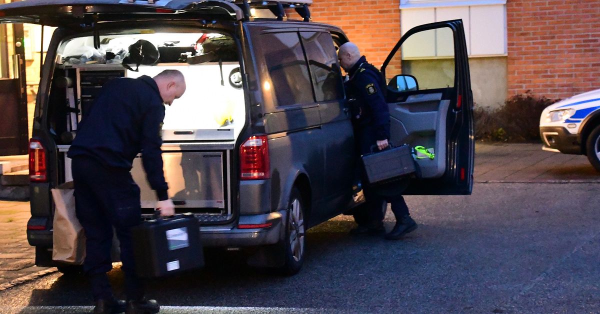 Kvinna Hittad Död I Lägenhet I Malmö Man Anhållen För Mord Svt Nyheter
