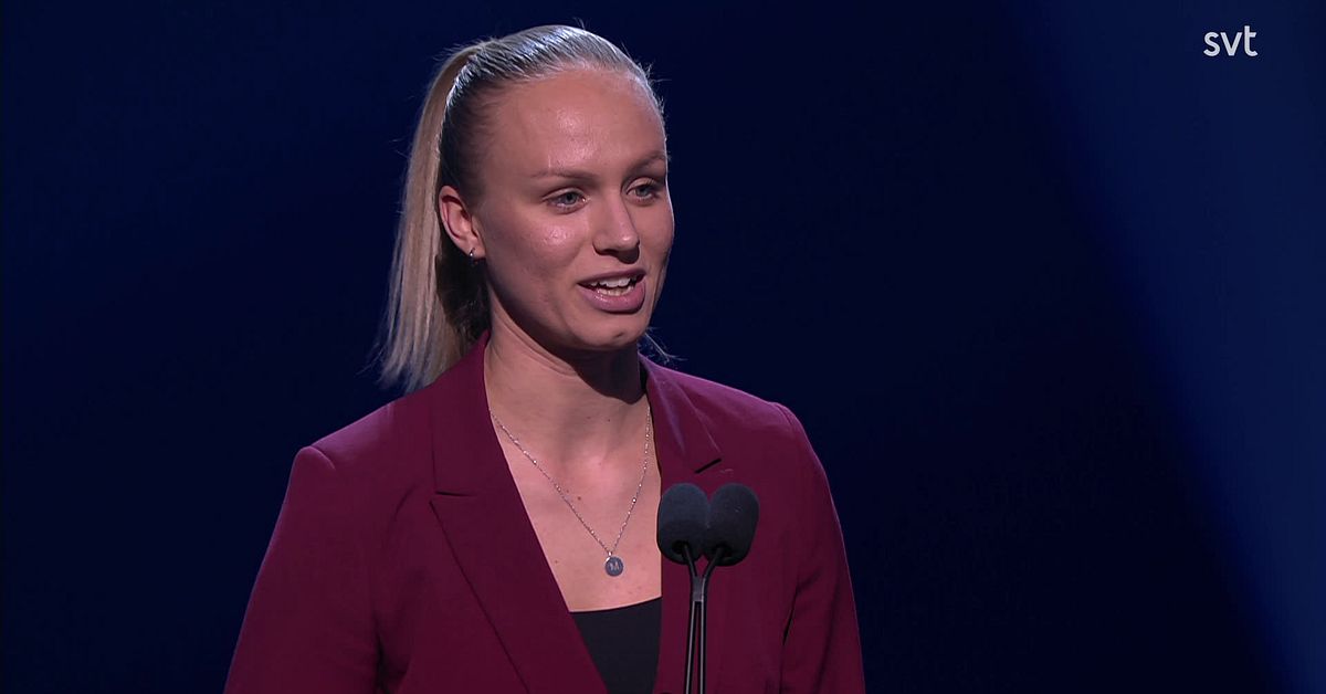 Bandy: Plan med framgångar på flera plan | SVT Sport