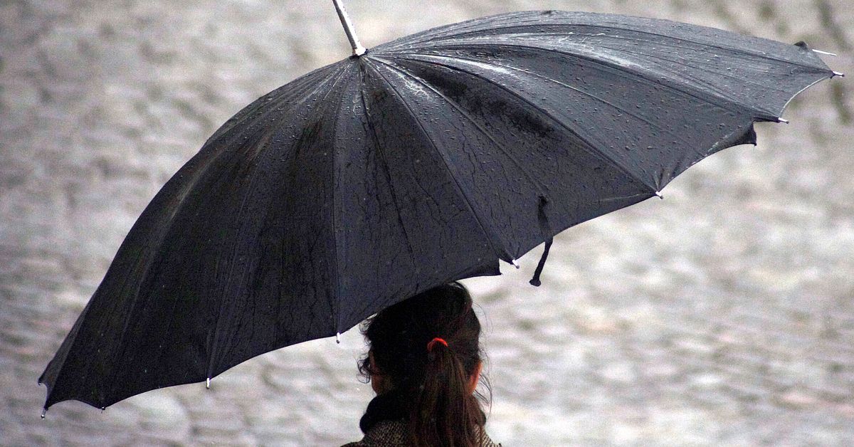 Göteborg vill bli världsbäst när det regnar | SVT Nyheter