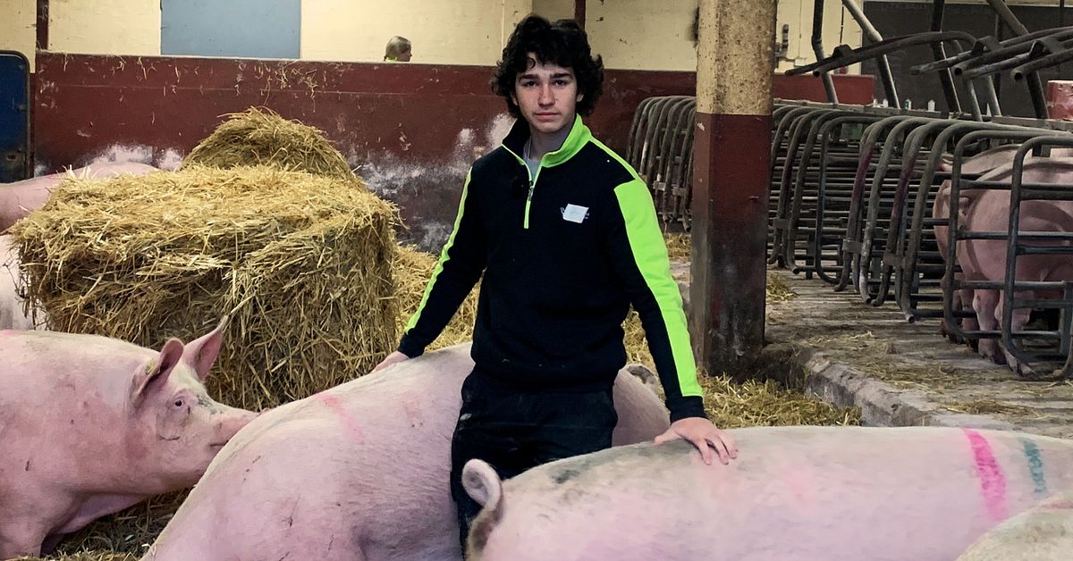 Gymnasieeleven Hakim, 16, utbildar sig till djurvårdare: ”Svårt på ... Gymnasieeleven Hakim, 16, utbildar sig till djurvårdare: ”Svårt på ...