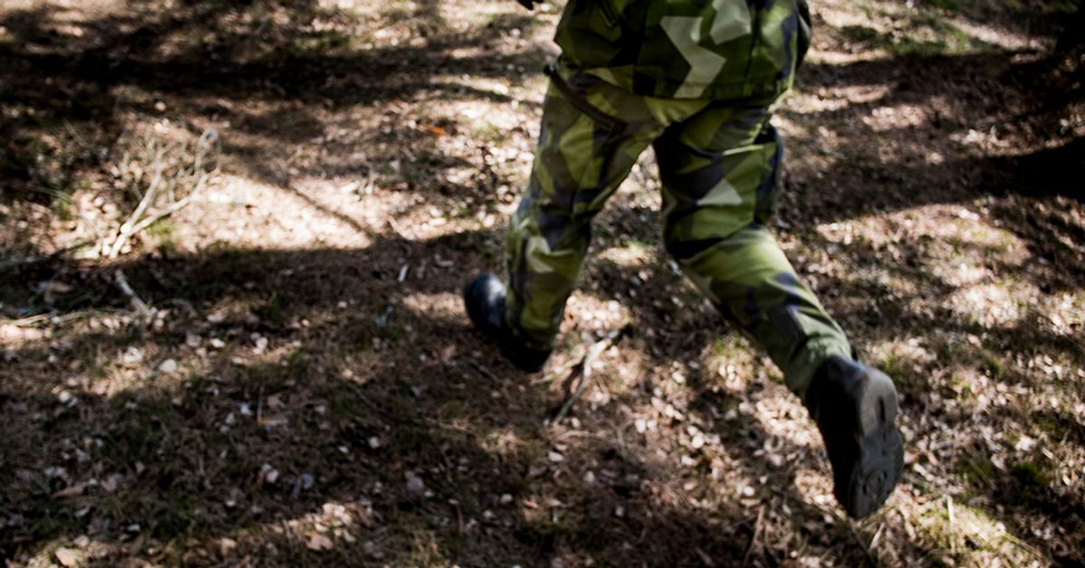 Militär Försökte Köpa Sex Av Flicka Svt Nyheter
