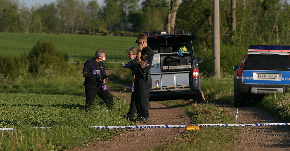 Nya fynd efter 17-åriga Lisa | SVT Nyheter