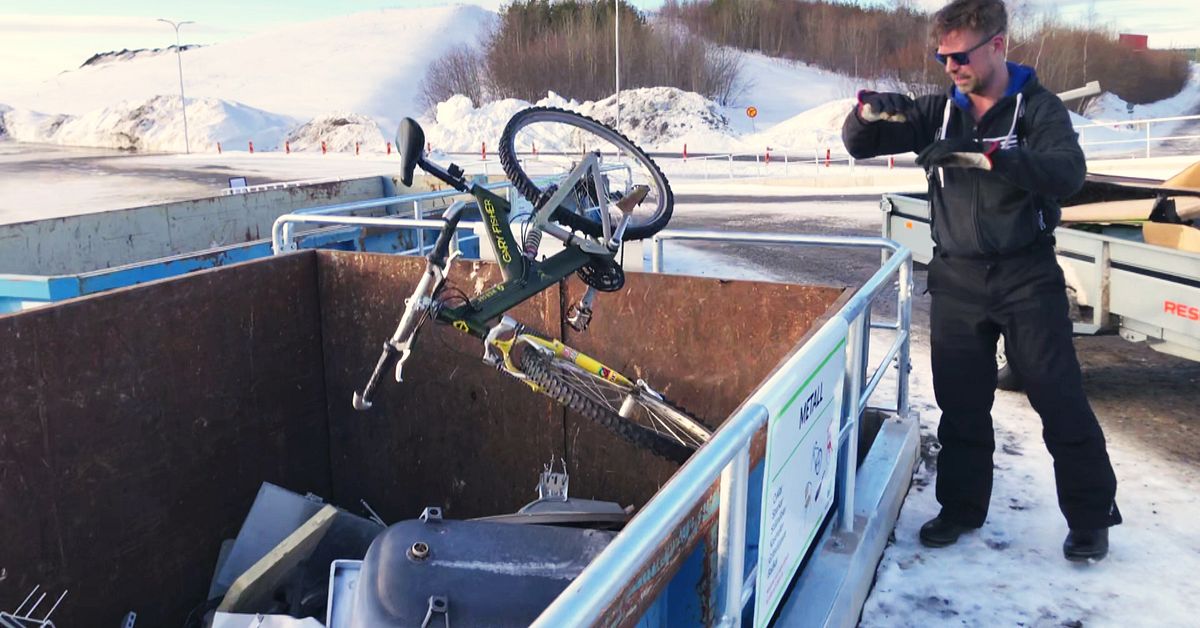 Köerna kapas vid tippen – utbildade Piteåbor får slänga skräp dygnet ...