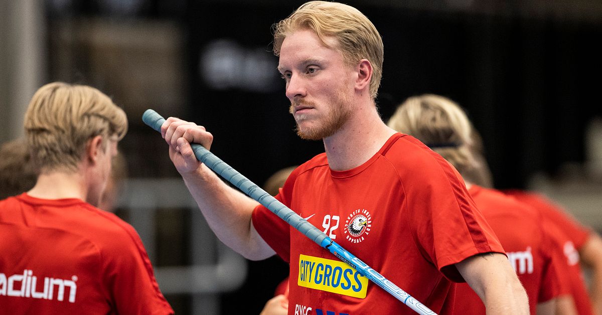 Innebandy: Landslagsspelaren Alexander Rudd tar en paus – åtalas för ...