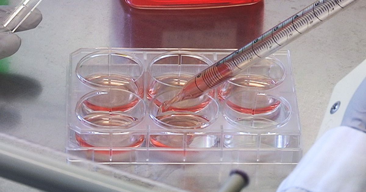 Personal lämnar blodcentralen i Lund | SVT Nyheter