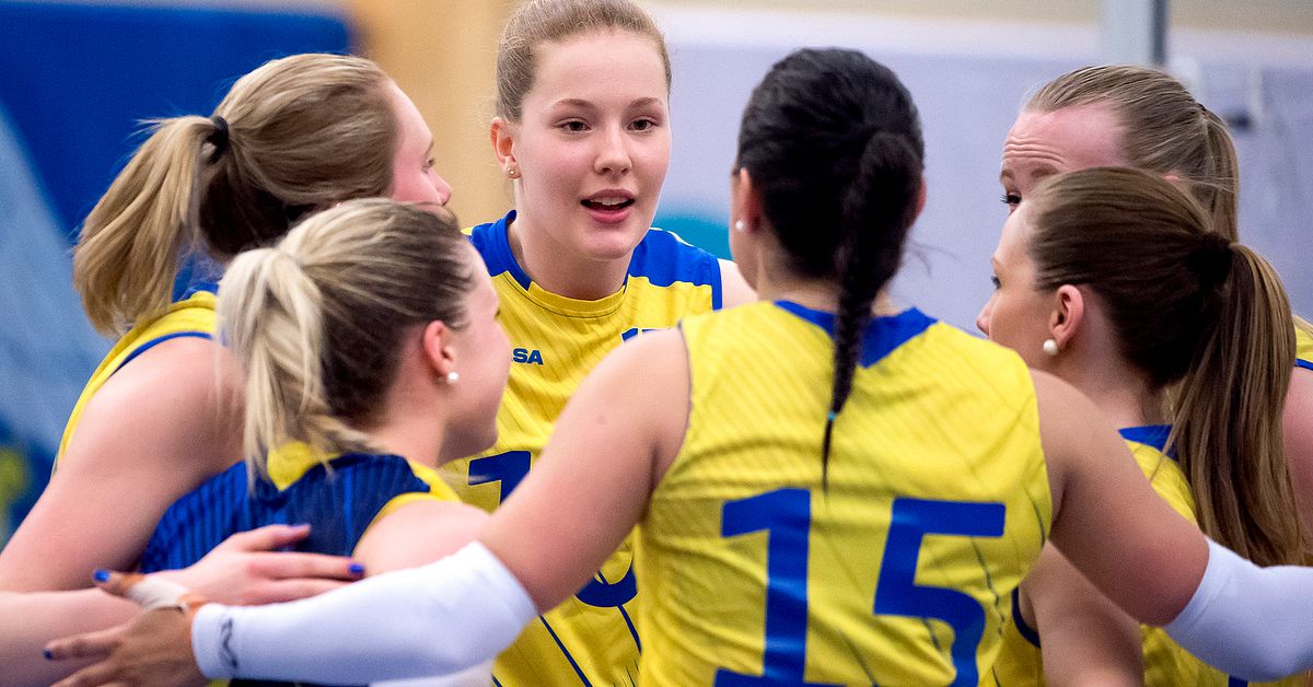 Volleyboll: Experten: Sveriges damer går till EM | SVT Sport