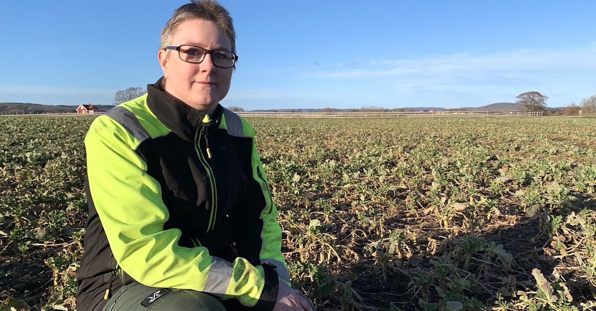 Lantbrukaren Helen: ”Man ser inte landsbygden som en plats där man ...