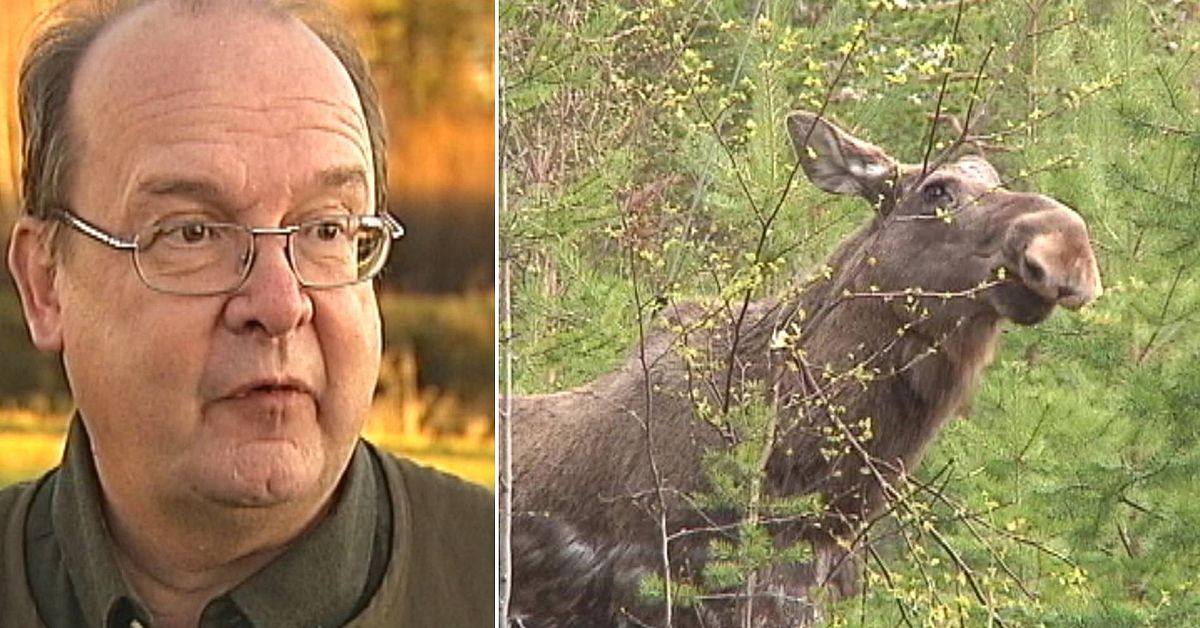 Peter Eriksson från Skyttmon ny ordförande i Svenska Jägareförbundet ...