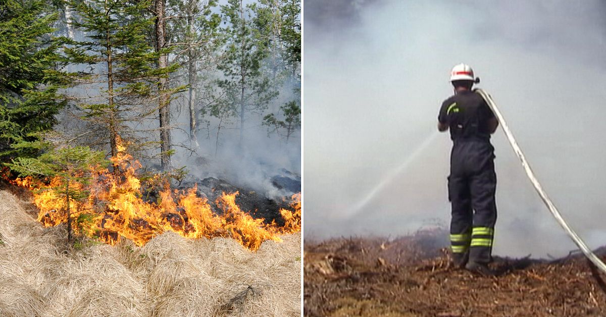Räddningstjänstens avrådan: Elda inte utomhus | SVT Nyheter