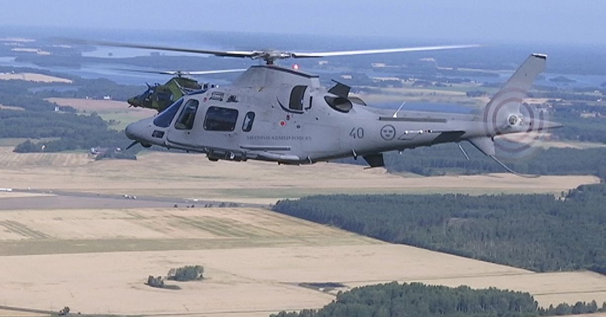 Flygbas firades med nostalgifärd i luften | SVT Nyheter