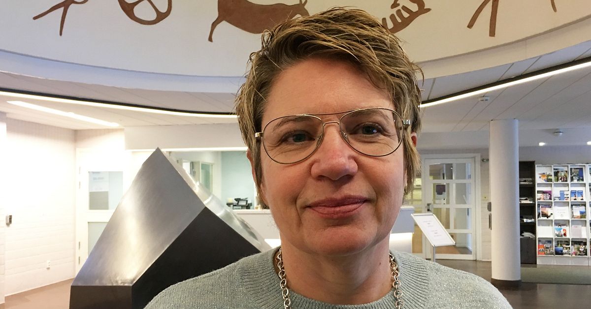 Sollefteås oppositionsråd om budgeten: ”Enkel matematik” | SVT Nyheter