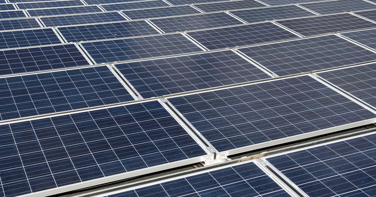 Solcellspark planeras i Helsingborg | SVT Nyheter