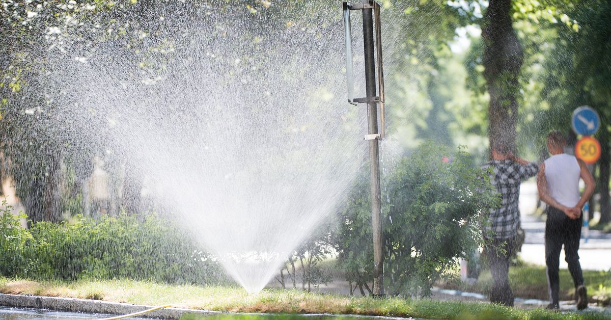 Kommunens uppmaning: Spara vatten inför stopp i höst | SVT Nyheter
