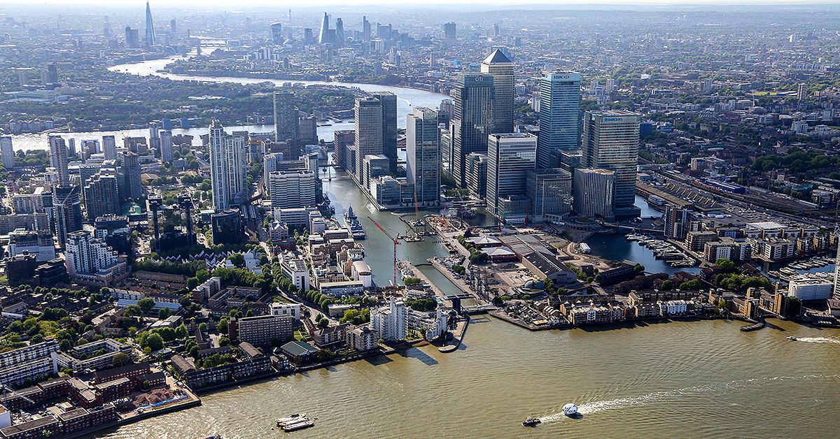 Allt vanligare med sälar i Themsen | SVT Nyheter