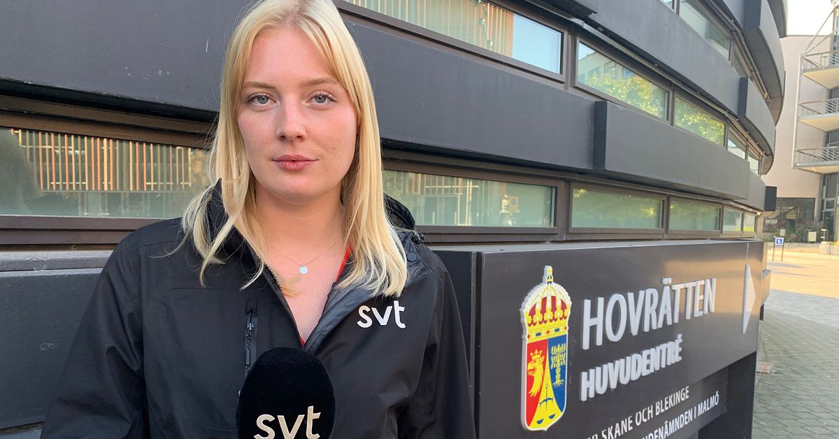 SVT-reportern summerar sista hovrättsdagen | SVT Nyheter