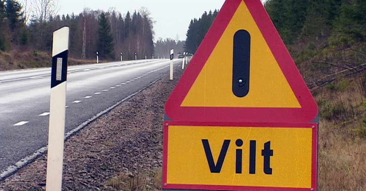 Här är Polisens Tips För Att Undvika Viltet På Vägarna Svt Nyheter