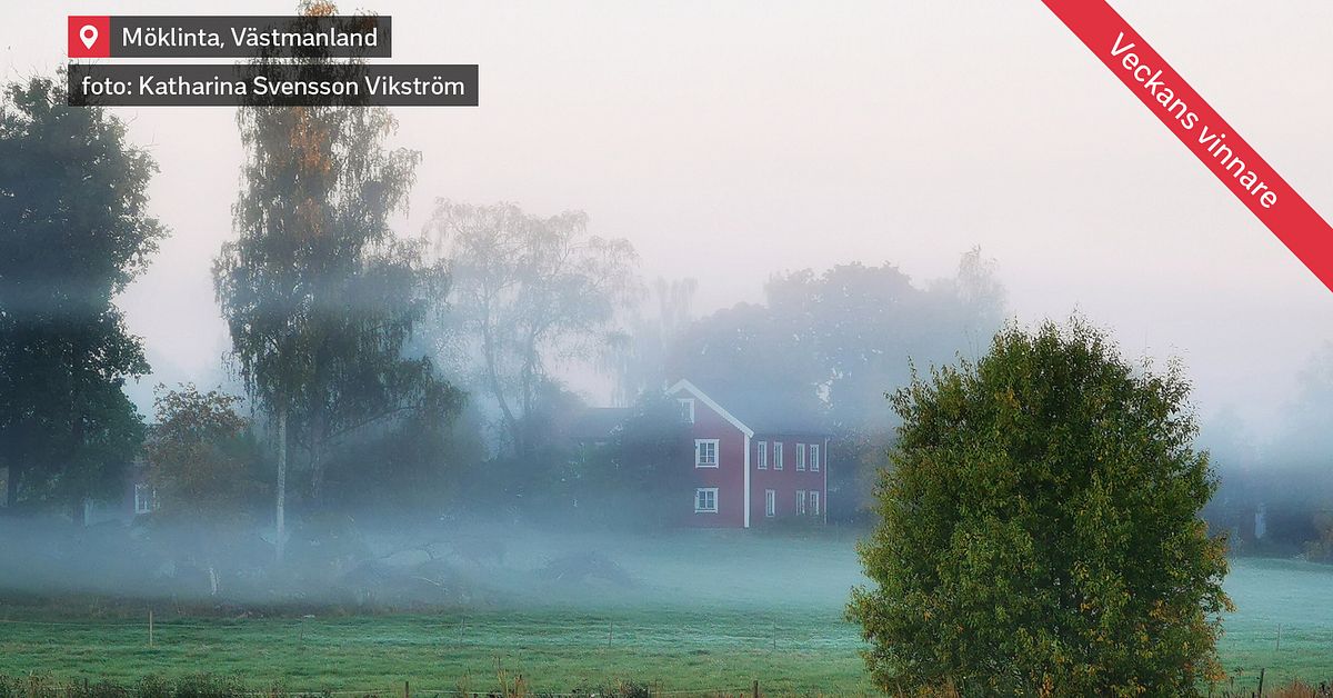 Väderbildstävling 2021 vecka 39 | SVT Nyheter